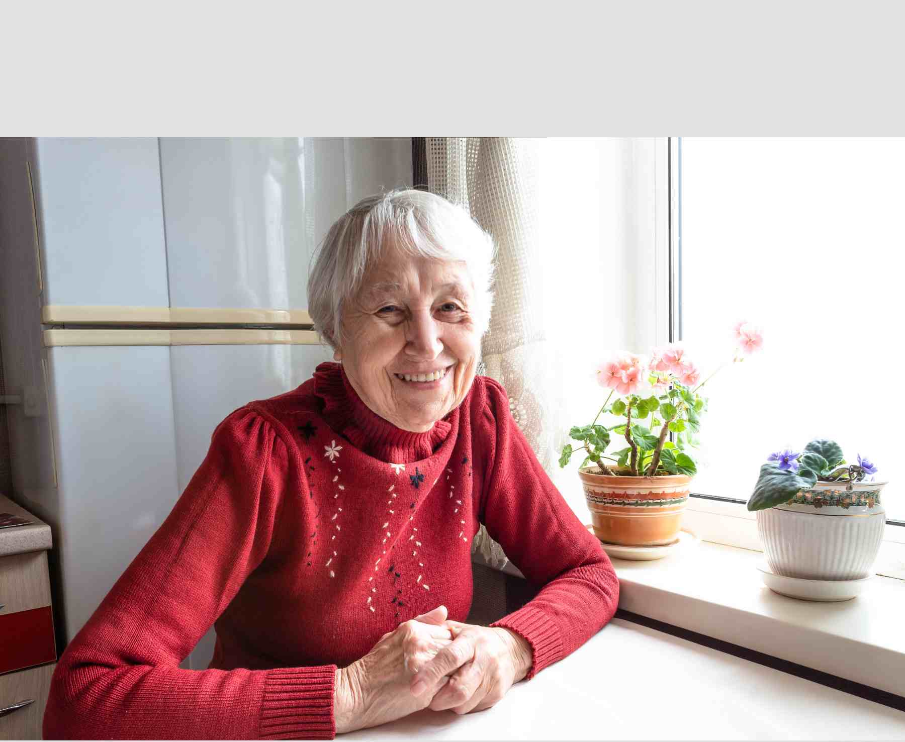 Shepherd's Center of Northern Virginia — Shepherd's Center of Northern ...